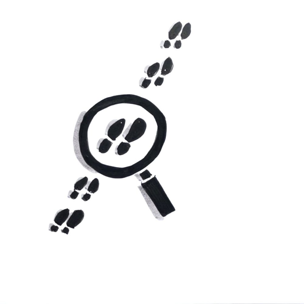 Das Clean-Feedback-Modell · paragraph eins